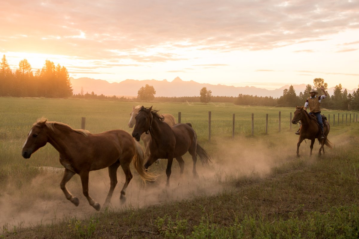 Release your inner cowboy at a British Columbia guest ranch - BC ...