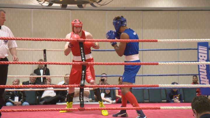 Canadian Boxing | News, Videos & Articles