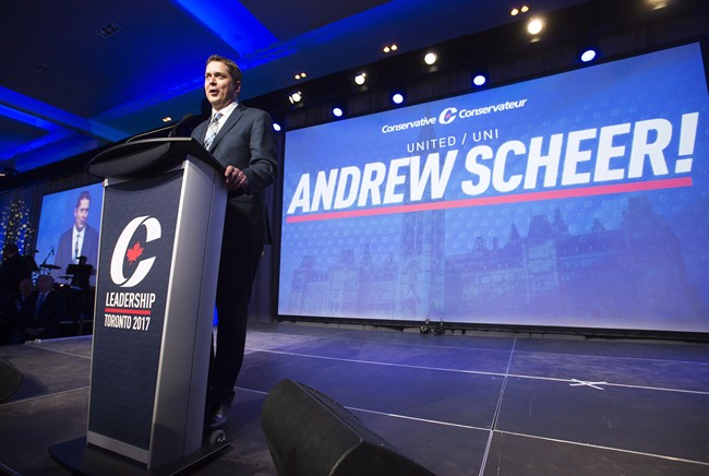 ‘My job is to find the common ground’: Conservative leader Andrew ...