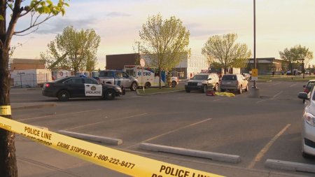 Calgary homicides in 2017: Drug, gang & organized crime-related deaths ...