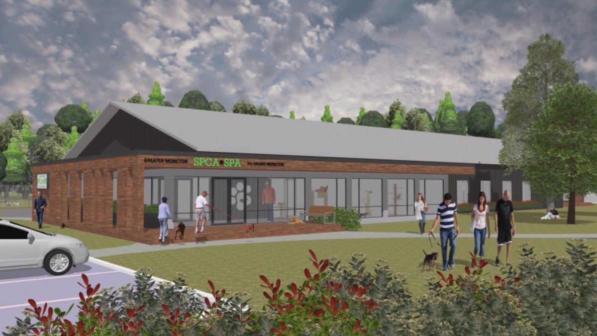 Moncton SPCA looks to build new shelter of its own - New Brunswick ...