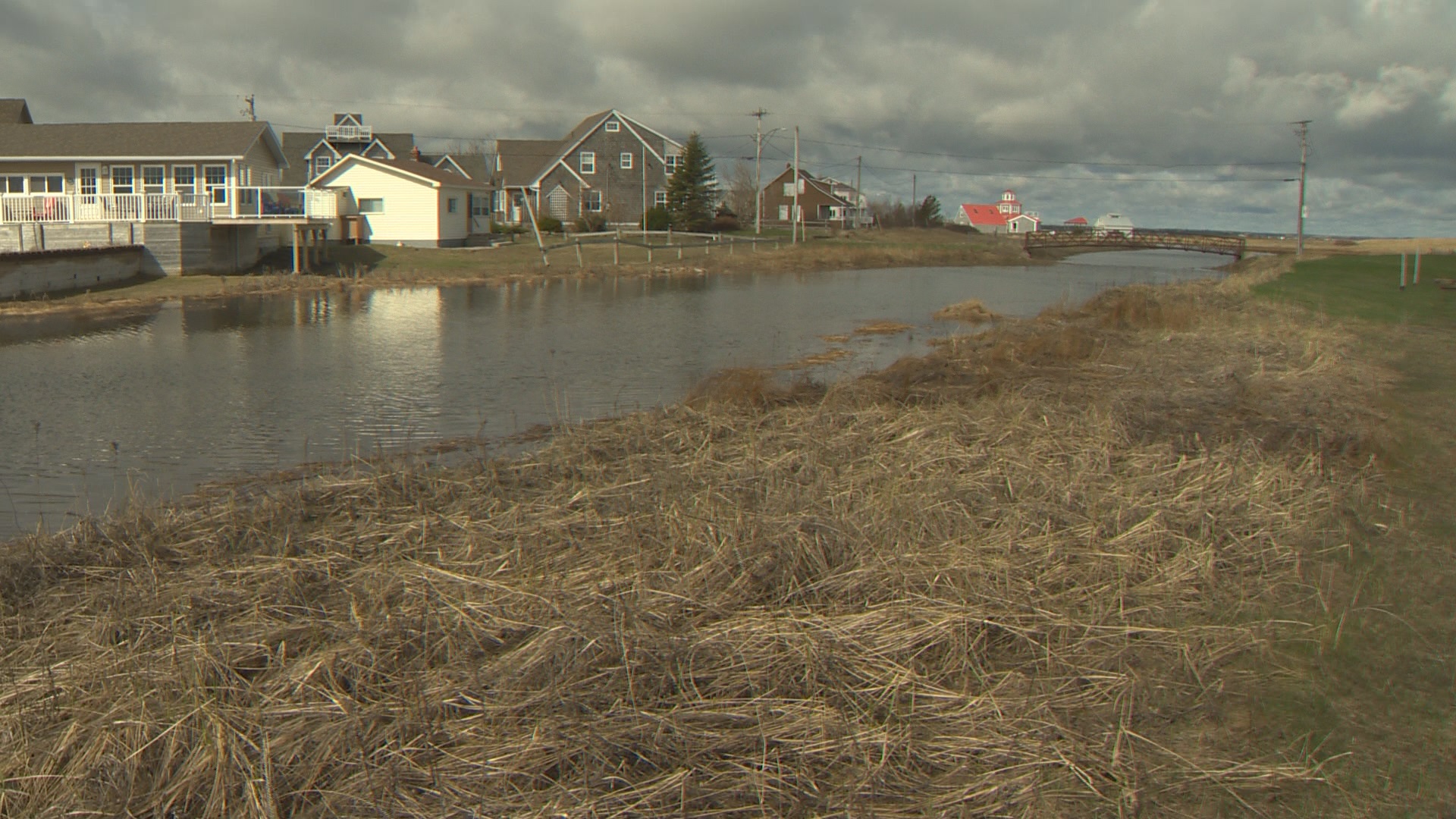 Coalition wants N.B. government to put moratorium on new developments ...