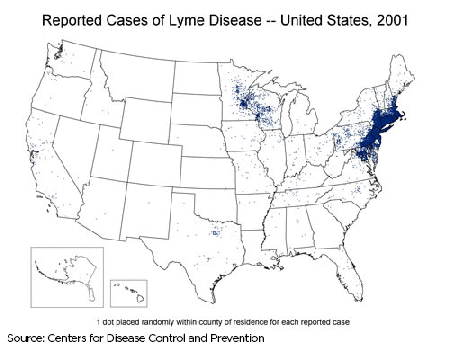 More ticks means an increase of Lyme disease across Canada — thanks to ...