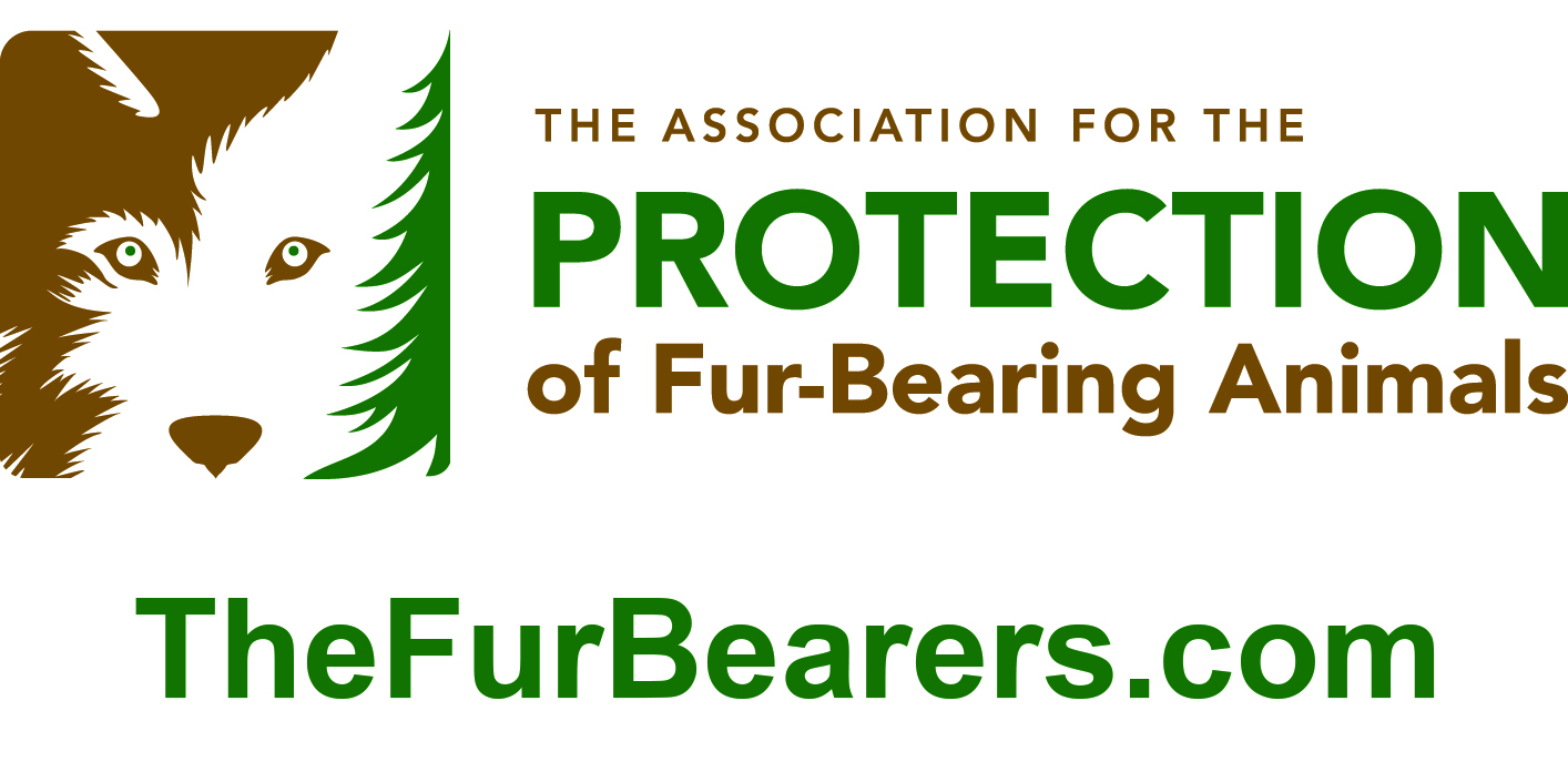 Clements’ Awards - GlobalNews Events