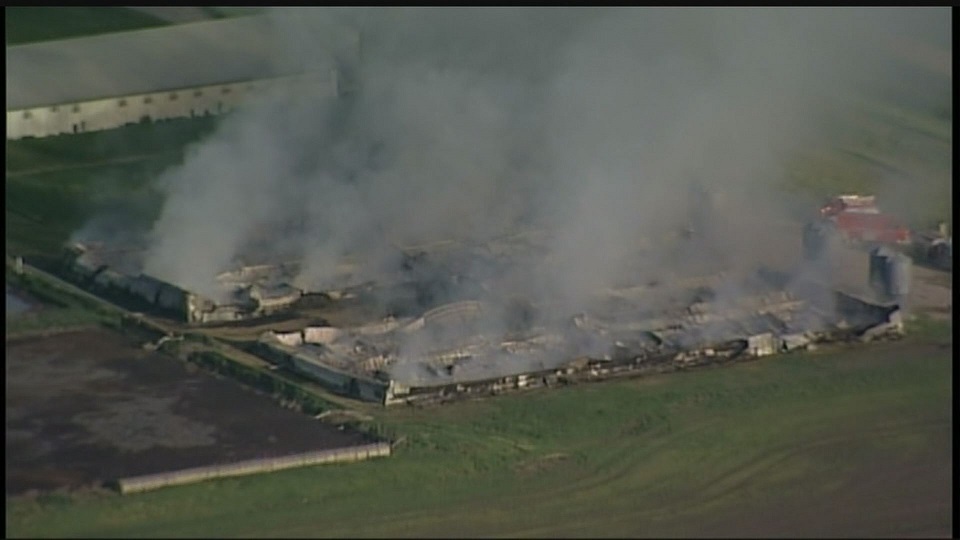 4,000 hogs die in Manitoba fire that caused millions in damages ...