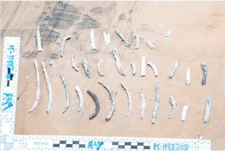 Jury shown graphic evidence as trial begins in Lethbridge for accused ...