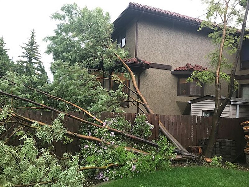 Calgarians clean up after powerful storm tears down trees and knocks ...