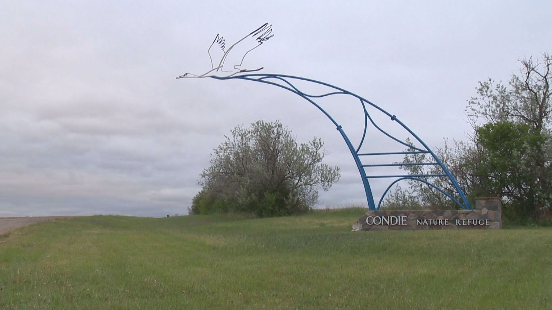 Body found northwest of Regina deemed non-suspicious by police - Regina ...