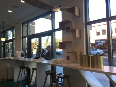 First Calgary cat café opens its doors - Calgary | Globalnews.ca