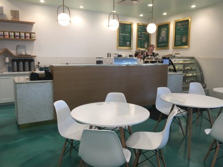 First Calgary cat café opens its doors - Calgary | Globalnews.ca