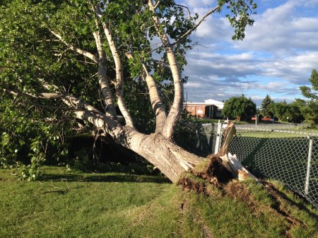 Red Deer storm aftermath: $150K in costs so far; 400 properties still ...