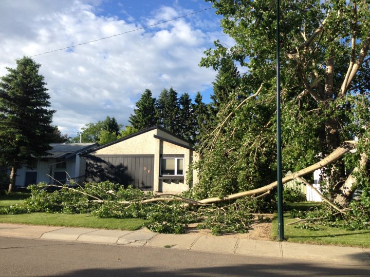 Red Deer storm aftermath: $150K in costs so far; 400 properties still ...