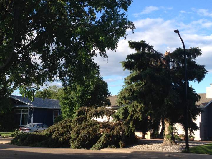 June storm that slammed Red Deer caused over $30M in insured damage ...