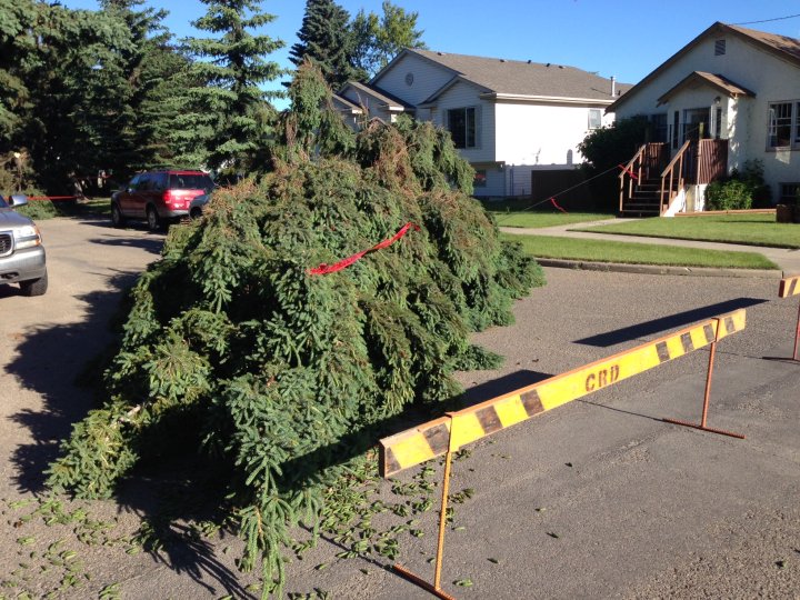 June storm that slammed Red Deer caused over $30M in insured damage ...