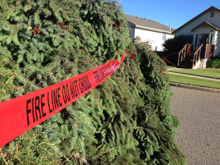 June storm that slammed Red Deer caused over $30M in insured damage ...