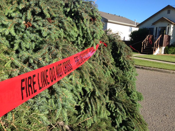 Red Deer storm aftermath: $150K in costs so far; 400 properties still ...