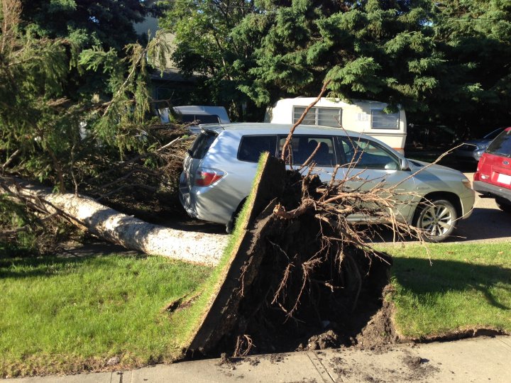 Red Deer storm aftermath: $150K in costs so far; 400 properties still ...