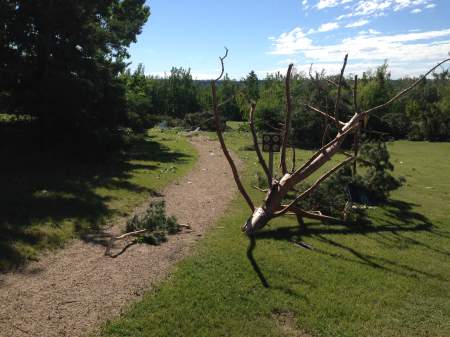 June storm that slammed Red Deer caused over $30M in insured damage ...