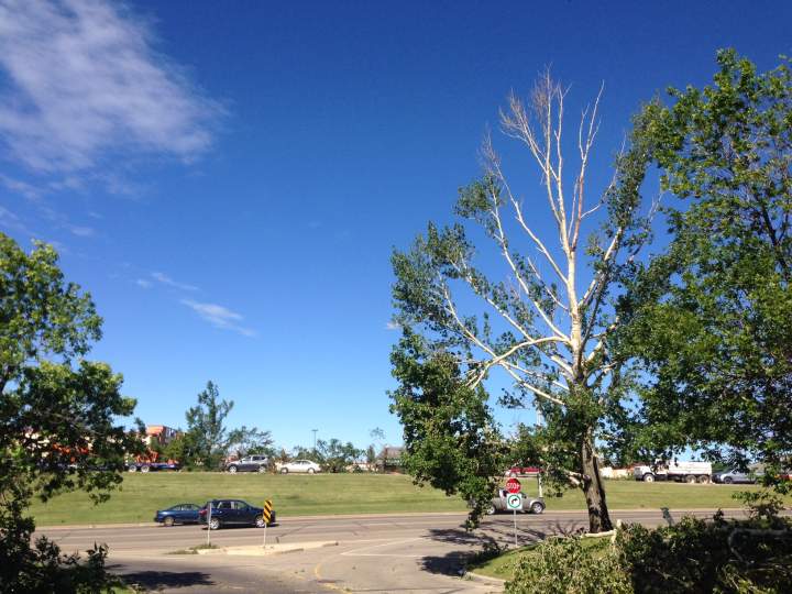 Red Deer storm aftermath: $150K in costs so far; 400 properties still ...