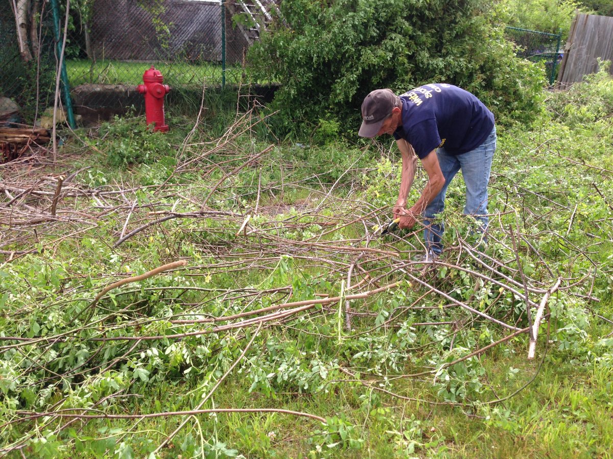 Dartmouth community clearing brush, installing lights where 18-year-old ...