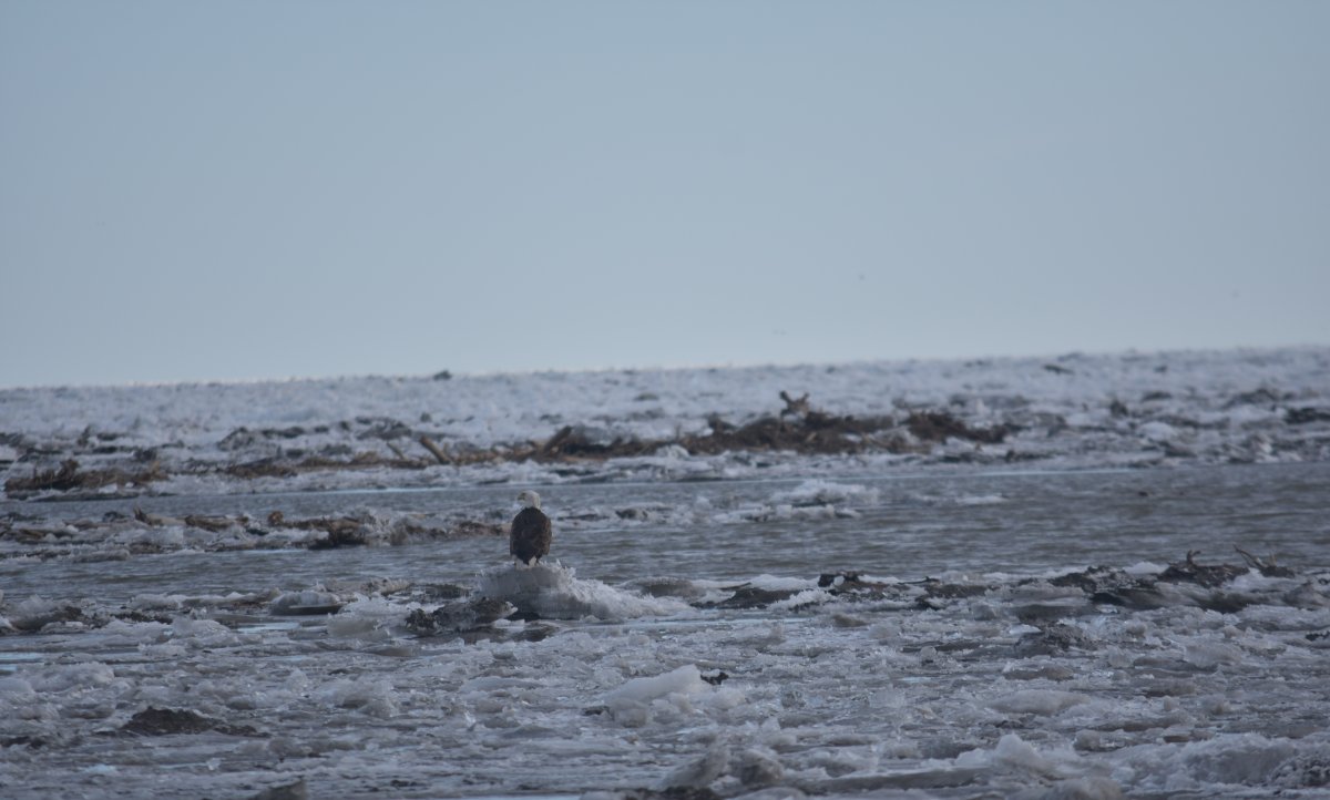 Best ‘Your Manitoba’ photos in May 2017 - Winnipeg | Globalnews.ca