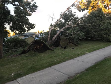 June storm that slammed Red Deer caused over $30M in insured damage ...