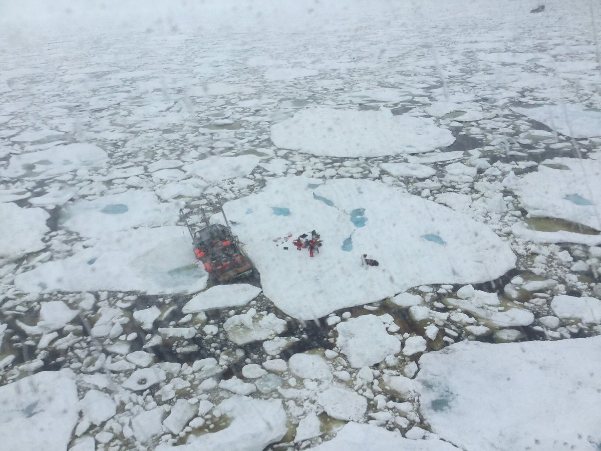 Arctic ice pack triggers rescue operation off coast of Newfoundland ...