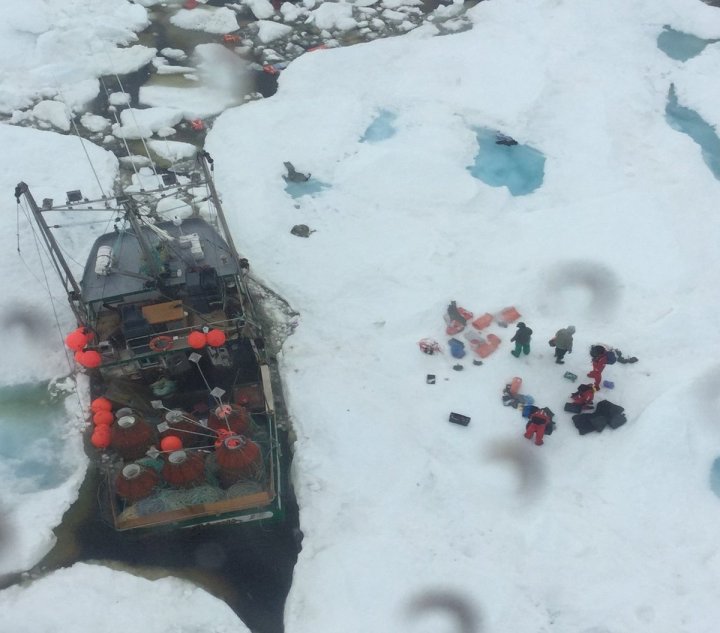 Arctic ice pack triggers rescue operation off coast of Newfoundland ...