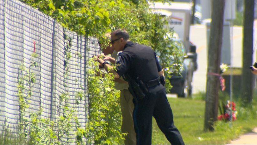 Dartmouth community clearing brush, installing lights where 18-year-old ...
