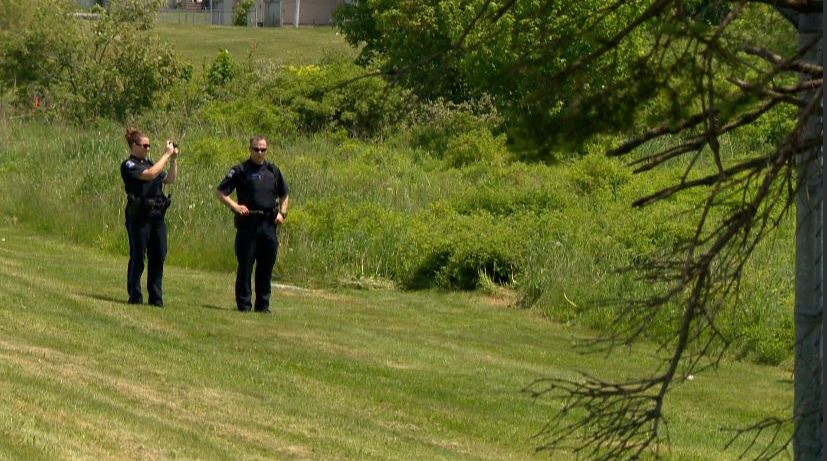 Dartmouth community clearing brush, installing lights where 18-year-old ...