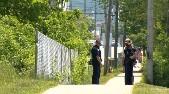 Dartmouth community clearing brush, installing lights where 18-year-old ...
