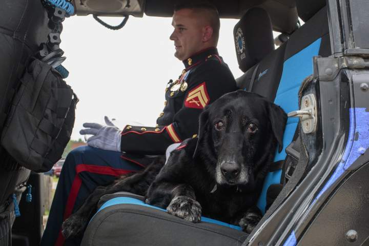‘He can feel it’: Hundreds arrive to say farewell to marine dog ...