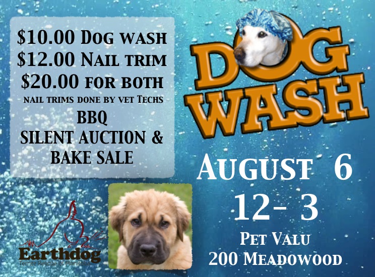Earthdog’s Dog Wash Day - GlobalNews Events