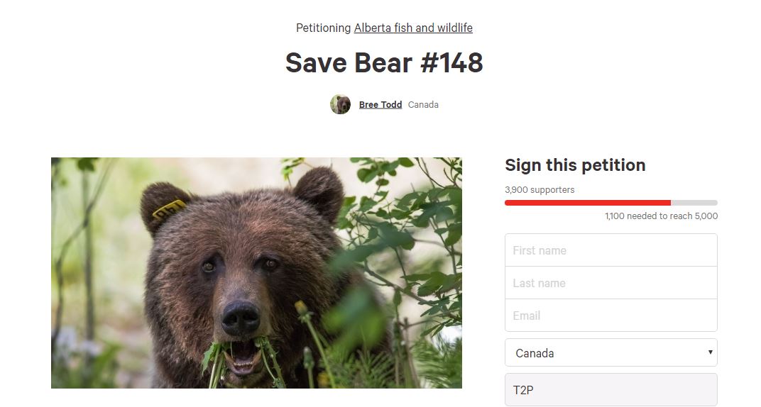 Banff residents petition Alberta, federal governments to ‘Save Bear 148 ...