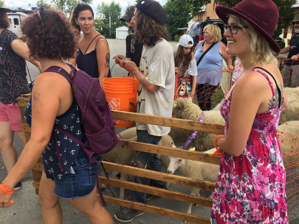 Urban sheep take to the streets of Montreal with a message - Montreal ...