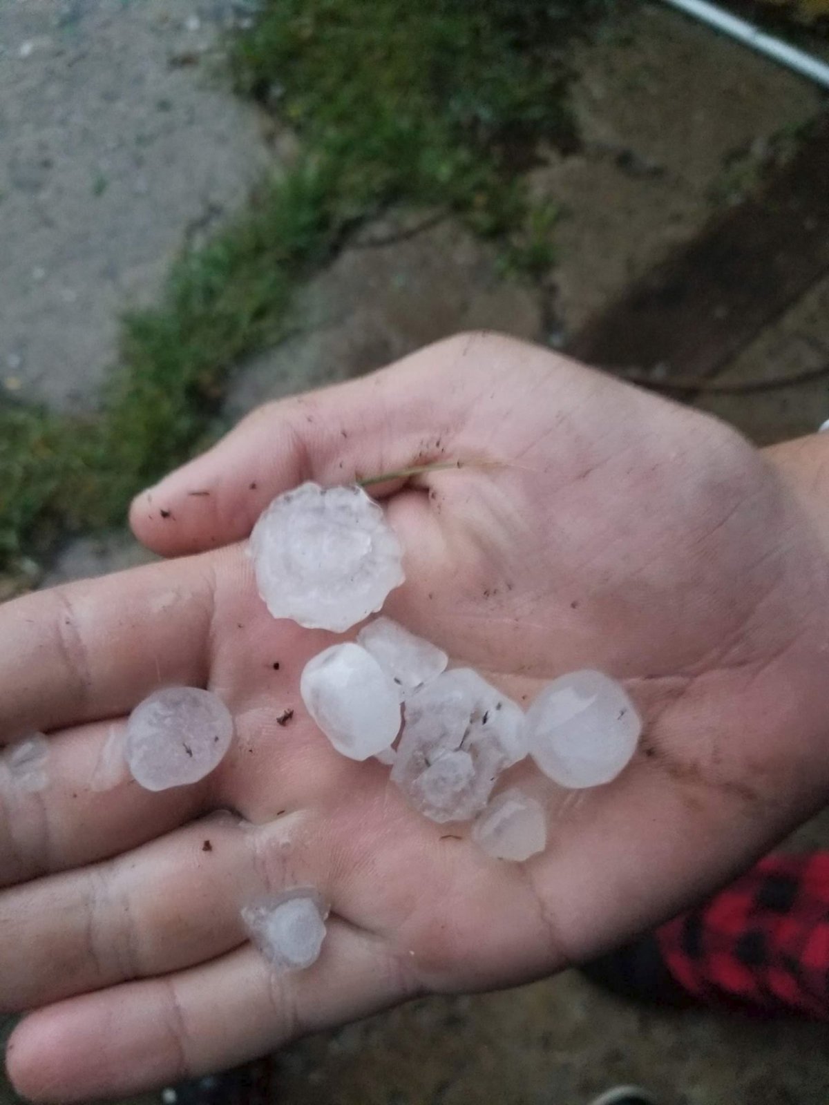 Rain, hail rolls through central Alberta - Edmonton | Globalnews.ca