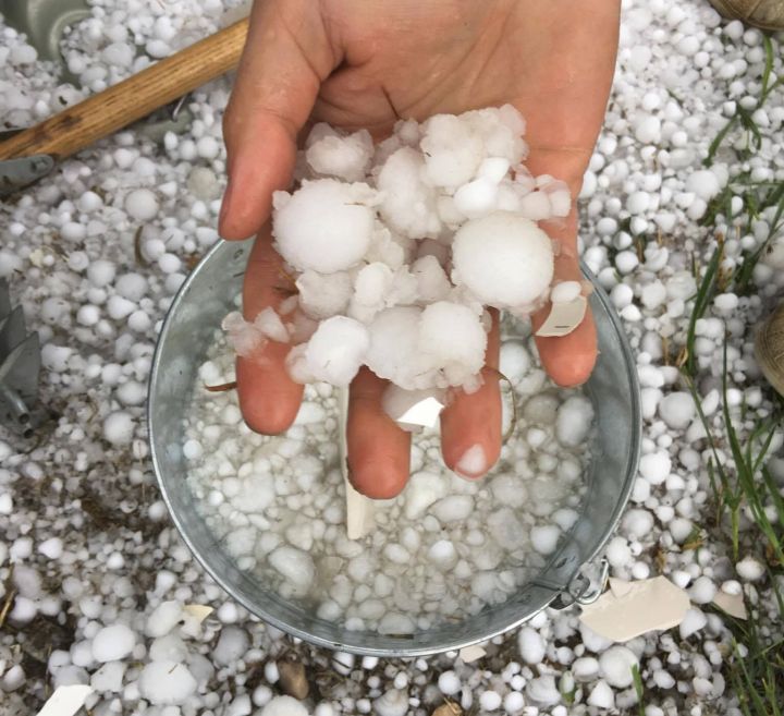 Rain, hail rolls through central Alberta - Edmonton | Globalnews.ca