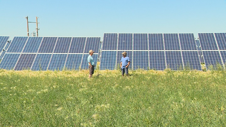 Southern Alberta farm uses solar energy to power irrigation pivots ...