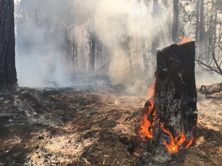 Princeton-area wildfire forces evacuations of hundreds of homes ...