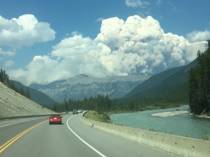 Fire ban, closures in place in Banff, Kootenay national parks as ...