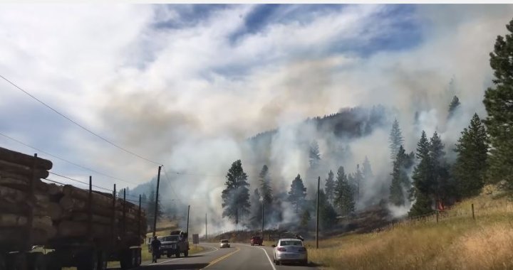 Monte Lake fire | News, Videos & Articles