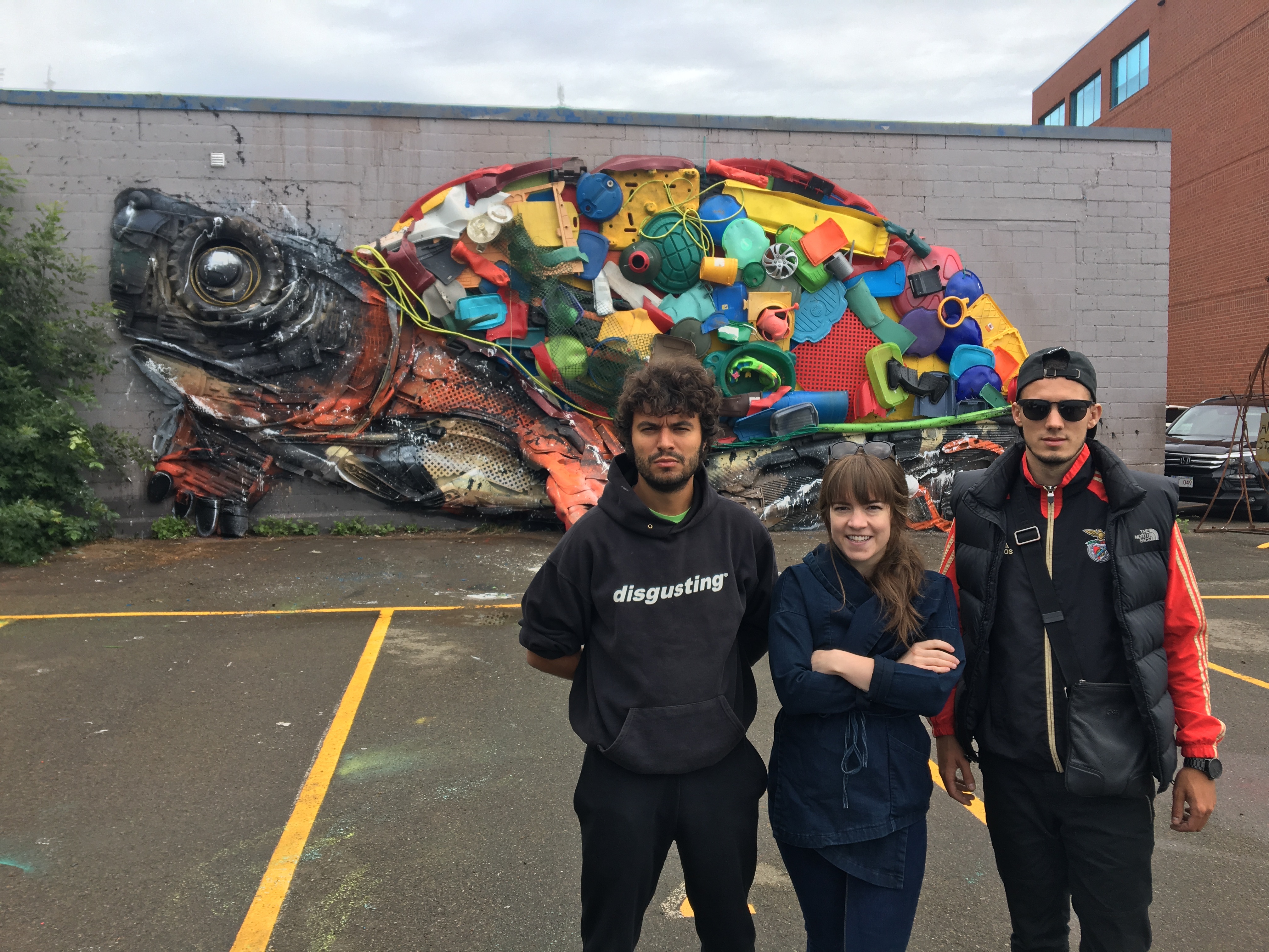 Artist from Portugal hopes mural will help protect New Brunswick’s wood ...