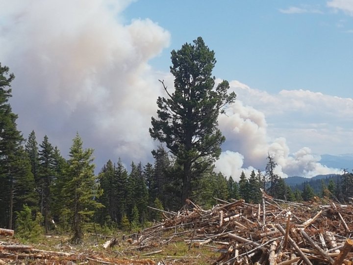 PHOTOS: Wildfires burning around B.C. | Globalnews.ca