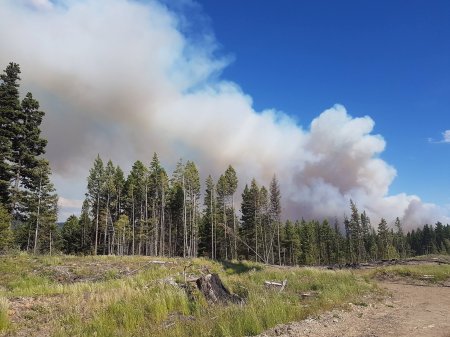 PHOTOS: Wildfires burning around B.C. | Globalnews.ca