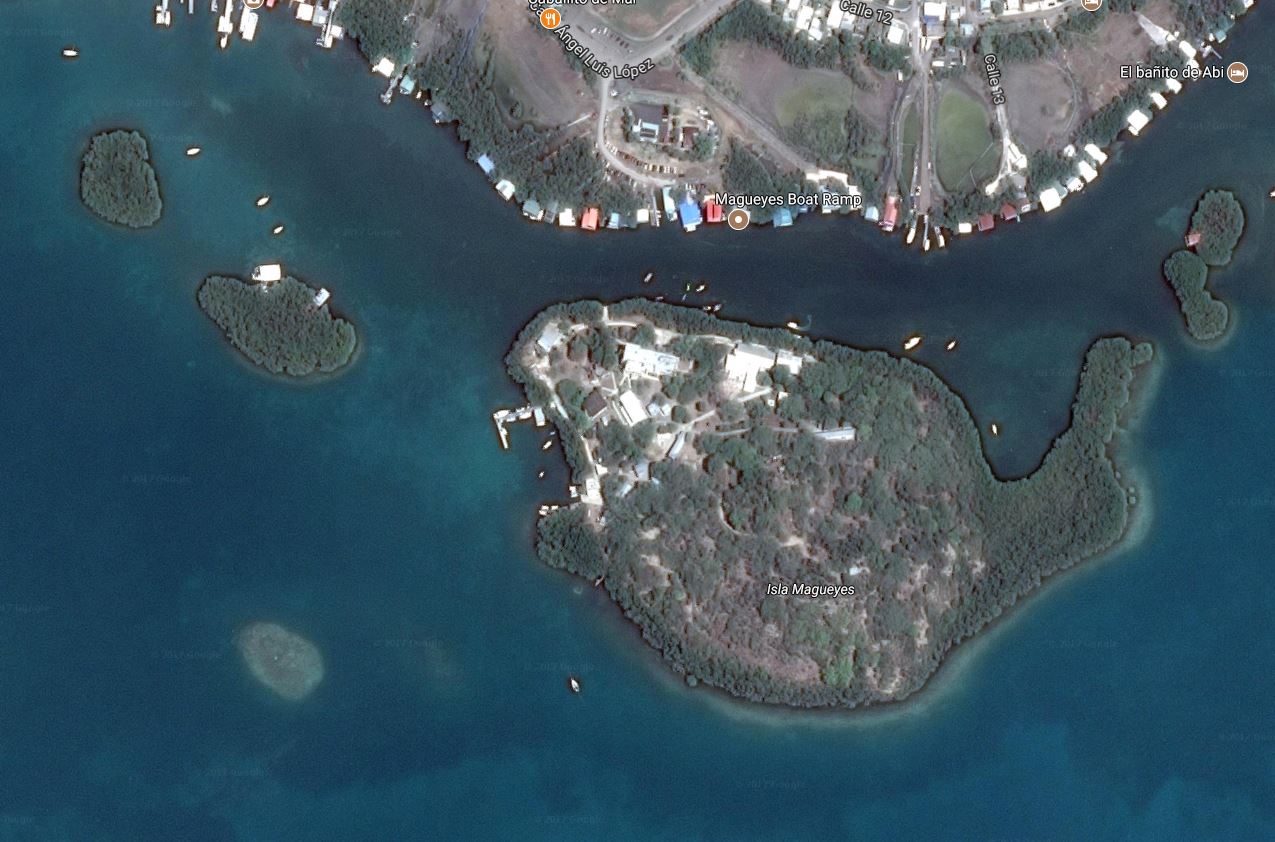 Four Quebecers among 22 injured in boat crash off island in Puerto Rico ...