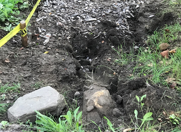 Toronto workers remove $550 park stairs built by senior after city’s ...