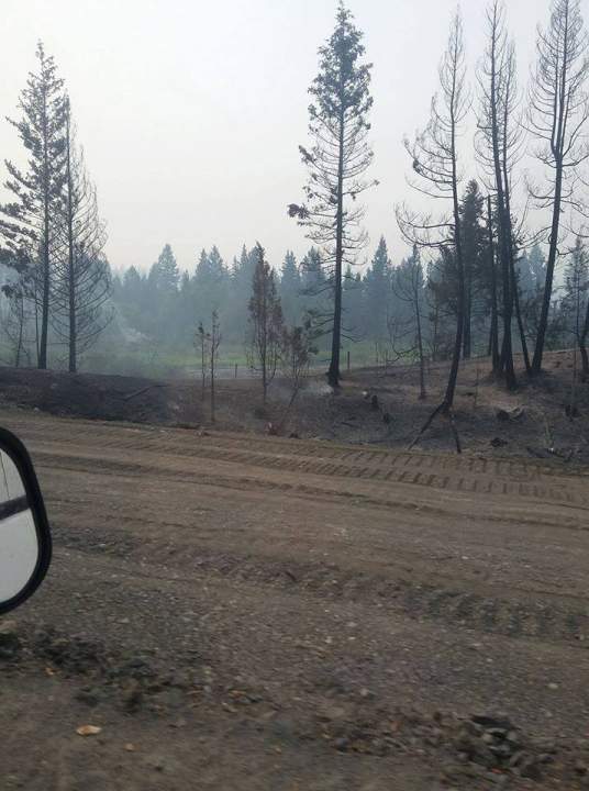 PHOTOS: Wildfires burning around B.C. | Globalnews.ca
