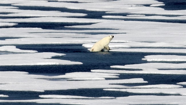 Arctic pollution | News, Videos & Articles