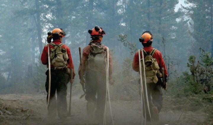 16 wildfires started on Vancouver Island after Sunday’s lightning storm ...