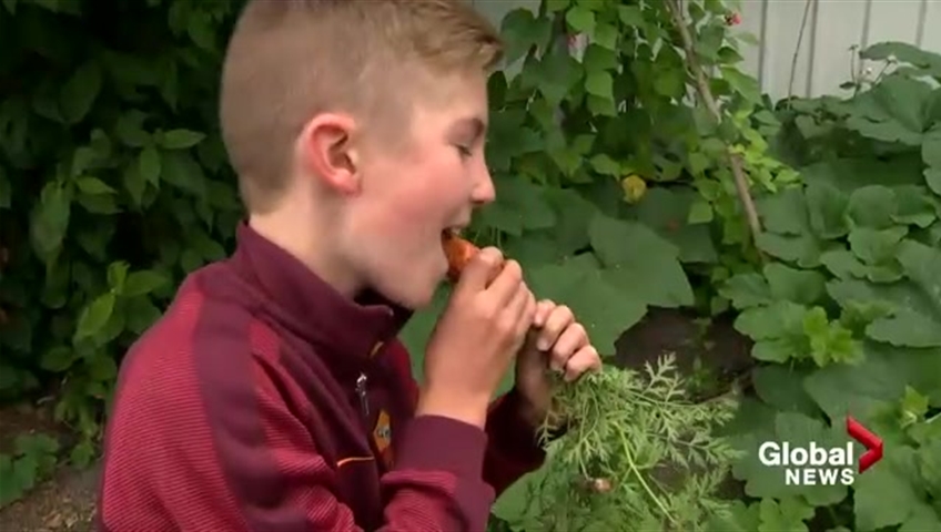 ‘Shame on you!’: Thieves caught stealing from Calgary school garden ...